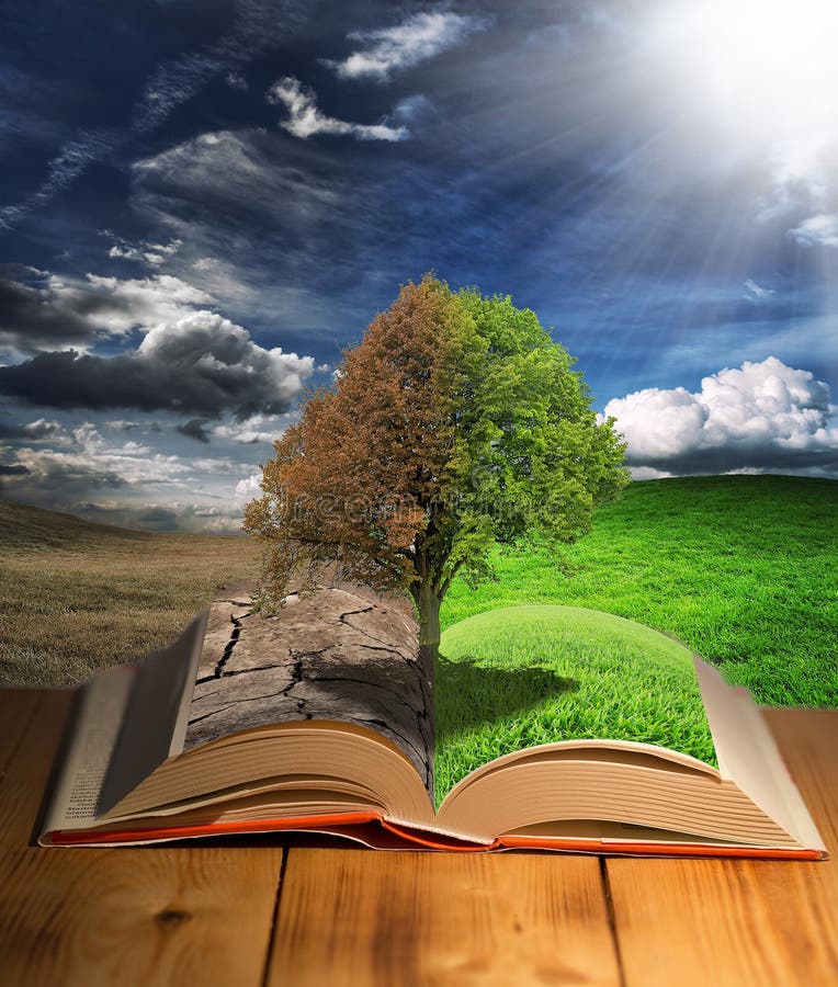 Open Book on Wooden Table on Natural Blurred Background. Heart Book ...