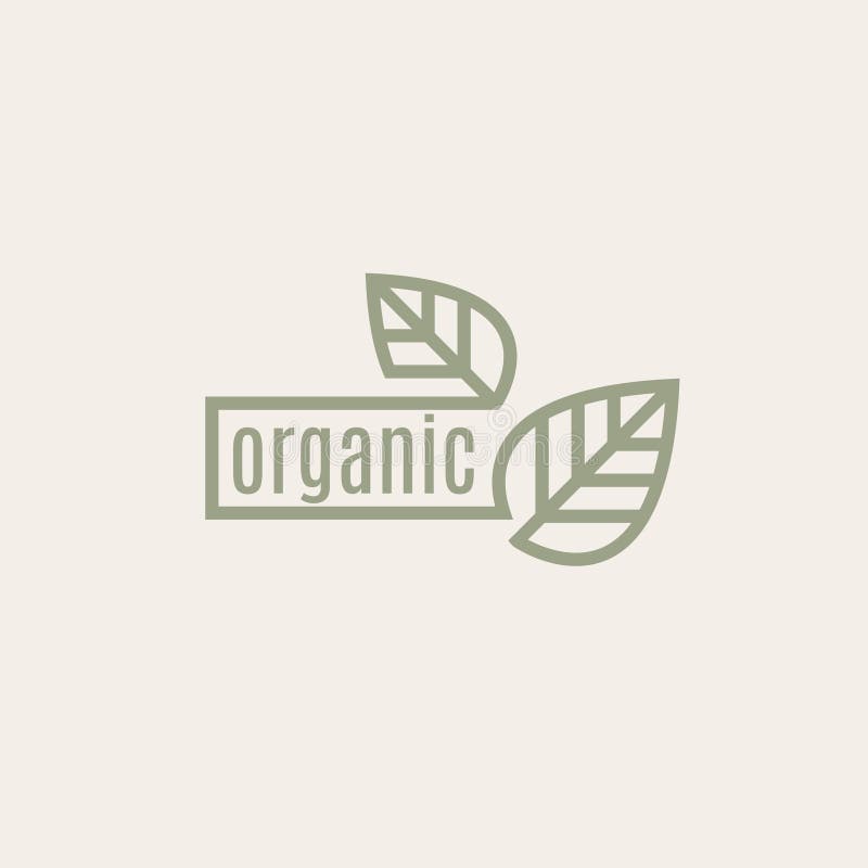 Eco Box with Green Leaf Icon. Biodegradable, Compostable Packaging. Eco ...