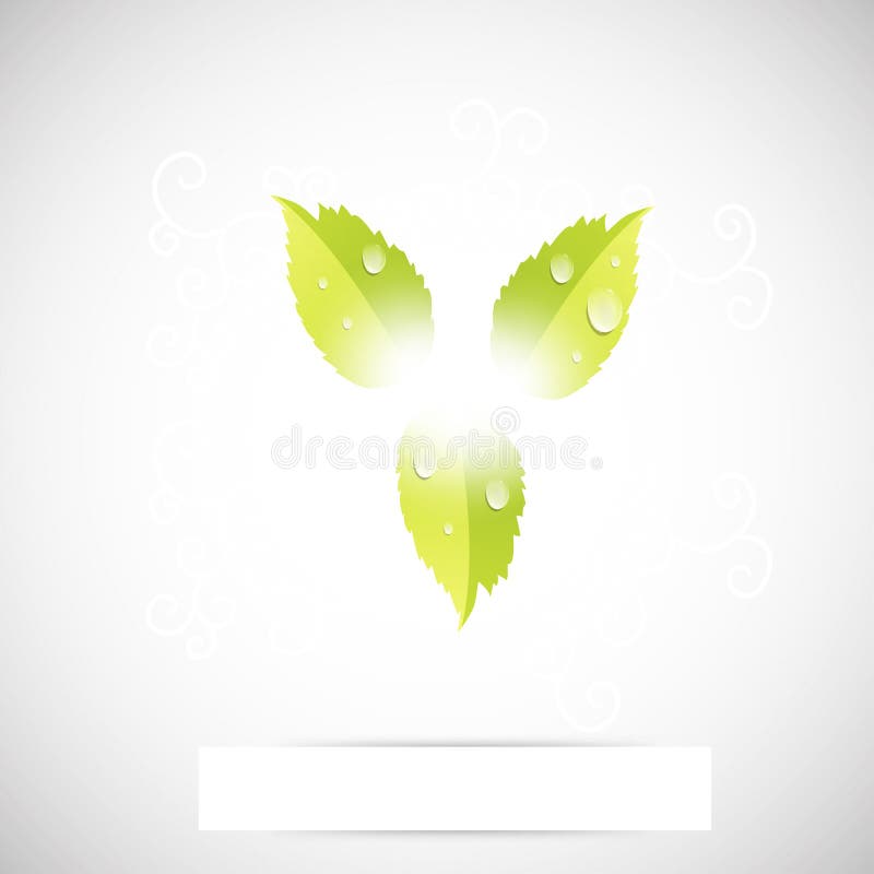 Eco design of three leaves stock vector. Illustration of curve - 23529373