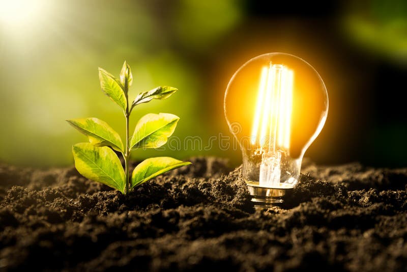 Eco Environment, Abstract Lighting Bulb Concept Stock Image - Image of ...