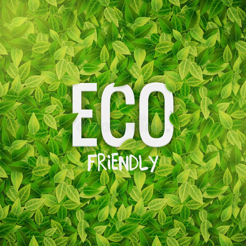 Eco Friendly Banner with Leaves, Vector Illustration Stock Vector ...