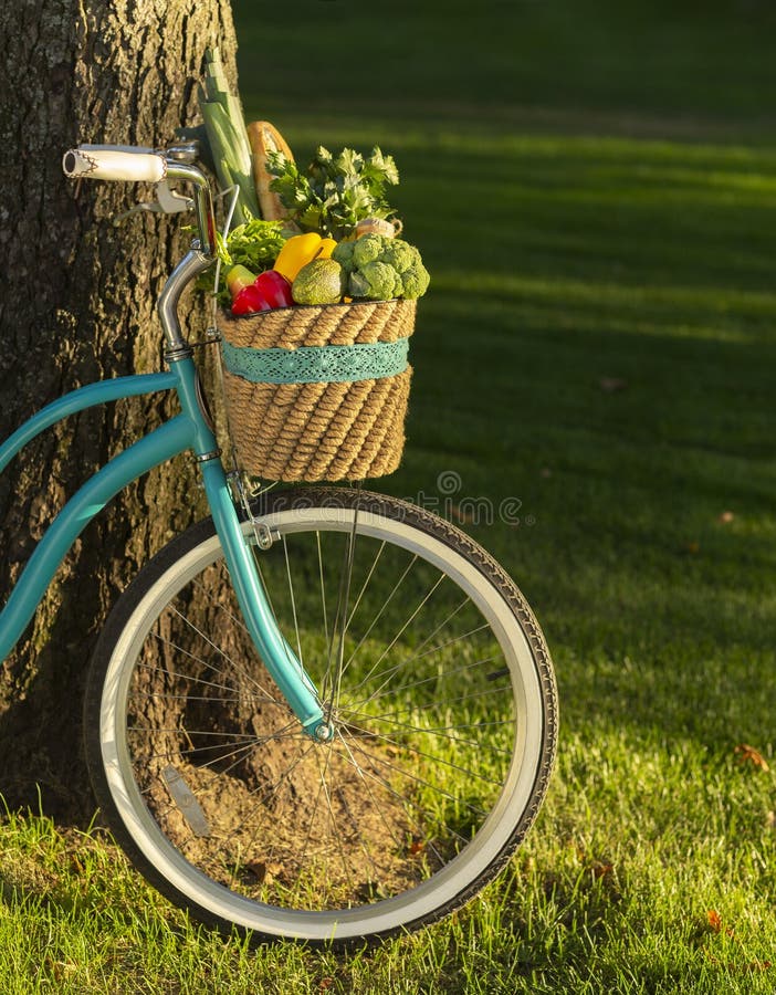 Eco Friendly Bicycle with Vegetarian Products in Park Stock Photo ...