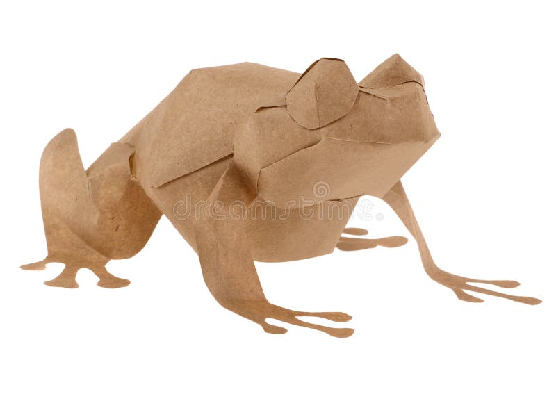 Eco Friendly Brown Paper Frog Stock Photo - Image of green, eyed: 51939004