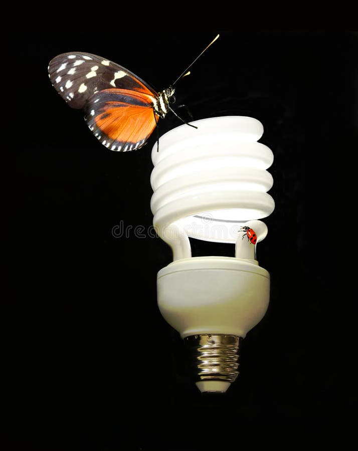 An Eco-friendly CFL Bulb with Butterfly & Lady Bug Stock Image - Image ...