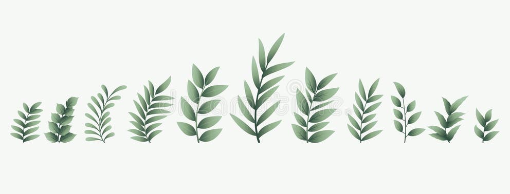 Eco-friendly Decorative and Fresh Leave Background in Set Stock Vector ...