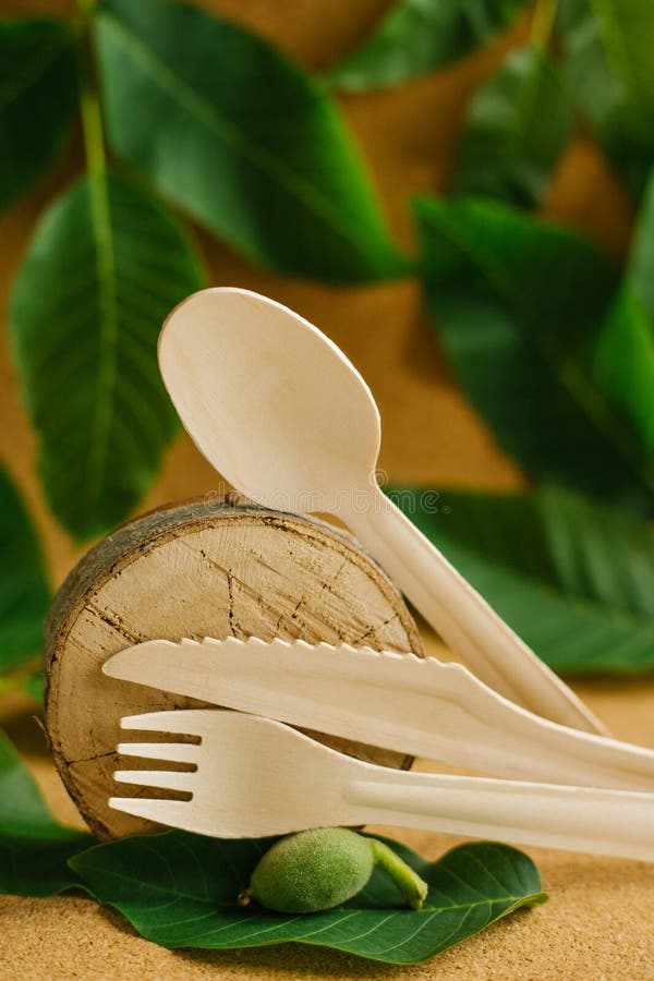 Eco-friendly Disposable Kitchen Utensils Stand on a Tree Cut . a Wooden ...