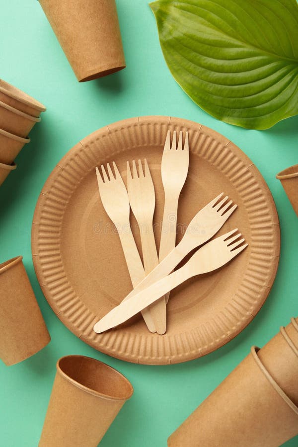 Eco Friendly Disposable Tableware on a Mint Background Stock Photo ...