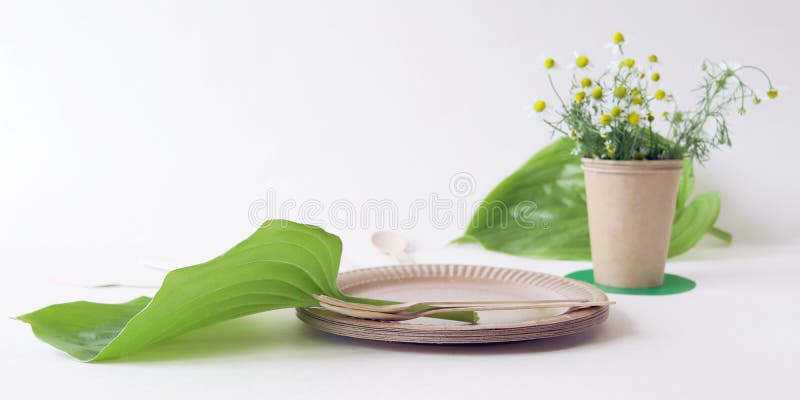 Eco-friendly Disposable Tableware from Natural Materials and Green ...