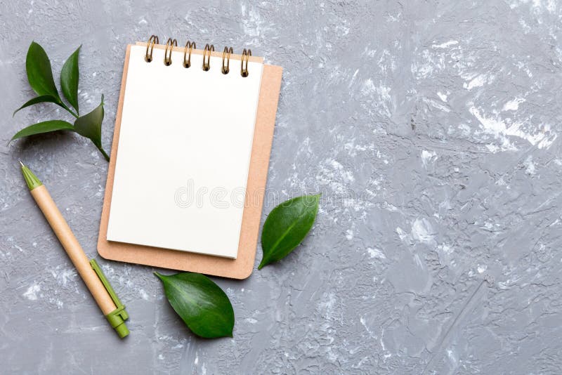 Eco-friendly Empty Notebook with Pen and Green Leaf on Colored ...