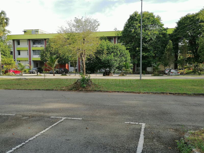 Eco Friendly Environment Creates the Beauty Us Stock Image - Image of ...