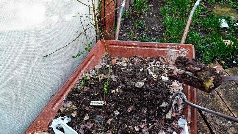 Eco-Friendly Gardening: Compost Secrets Unveiled Stock Video - Video of ...