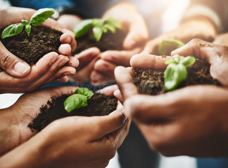 Growth, Teamwork and Sustainability Plant Support Hands of Business ...