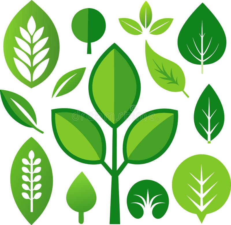 Eco-Friendly Leaves Set stock vector. Illustration of foliage - 340225386