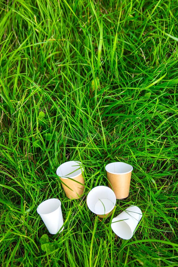 Eco-friendly Material Craft Cup Grass Stock Image - Image of bamboo ...