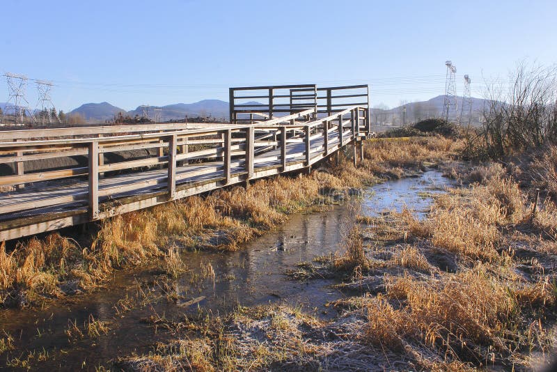 Eco-Friendly Nature Path stock photo. Image of suspended - 67239448