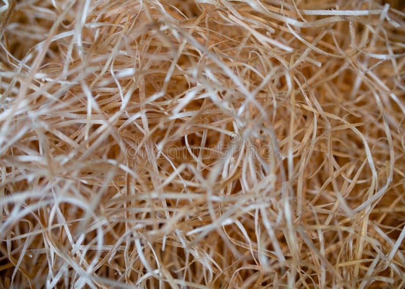 Eco-friendly Packaging Concept. Stock Photo - Image of twig, sunlight ...