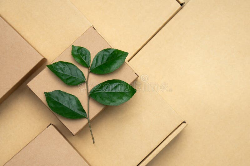 Eco Friendly Packaging for a Sustainable Future. Green Leaf on ...