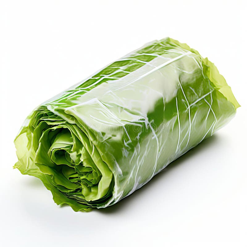 Eco Friendly Plastic Wrap Plastic Wrap Made from Biode Stock Image ...