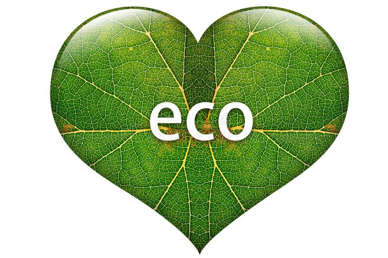 Eco heart stock photo. Image of shape, tree, leaves, organic - 43707468