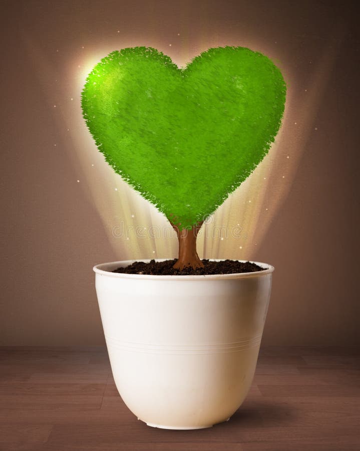 Eco Heart Tree Coming Out from Flowerpot Stock Photo - Image of fresh ...