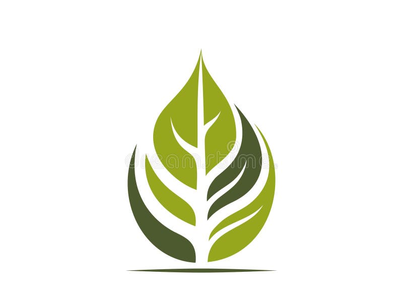 Eco Icon. Leaf, Plant, Spring and Nature Symbol. Vector Image in Flat ...