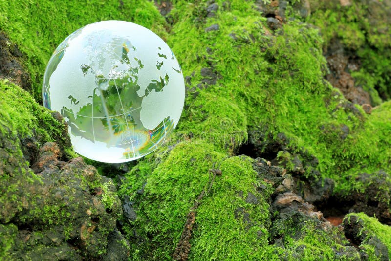 Eco image stock image. Image of water, earth, green, business - 21102197