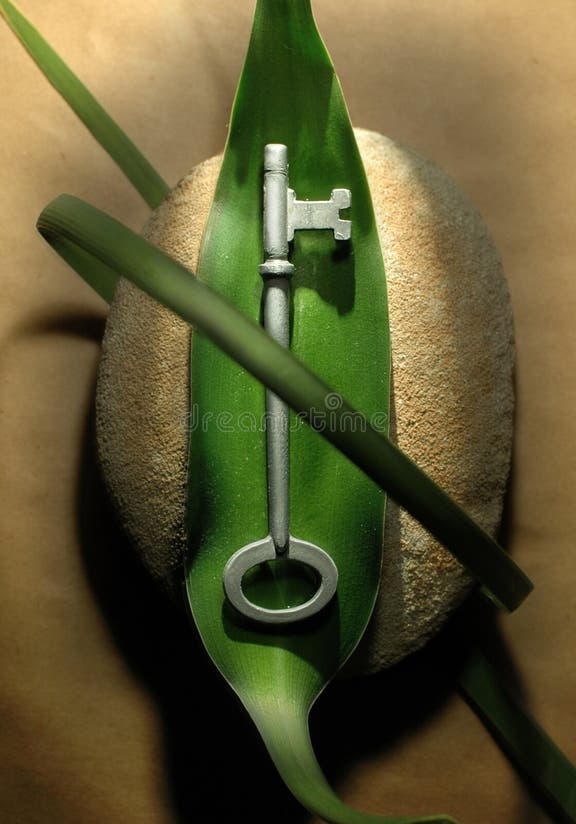 Eco Key stock image. Image of symbol, answers, geology - 216983