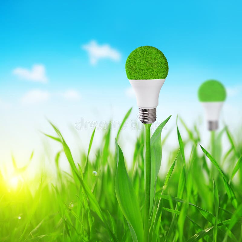 Eco LED Light Bulb on Stem of Plant. Stock Photo - Image of clean ...