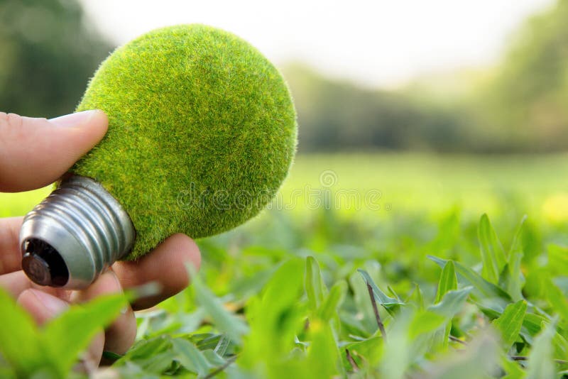 Eco light bulb concept stock image. Image of green, invention - 29339791