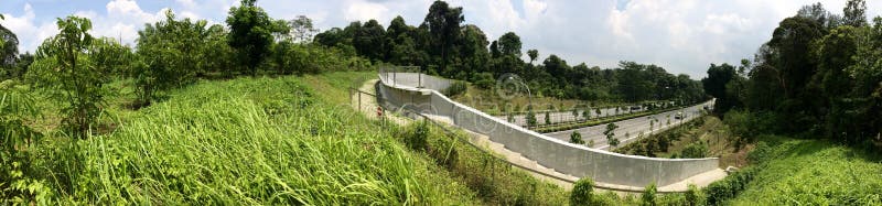 Eco-link Bridge - Singapore Stock Photo - Image of expressway, nparks ...