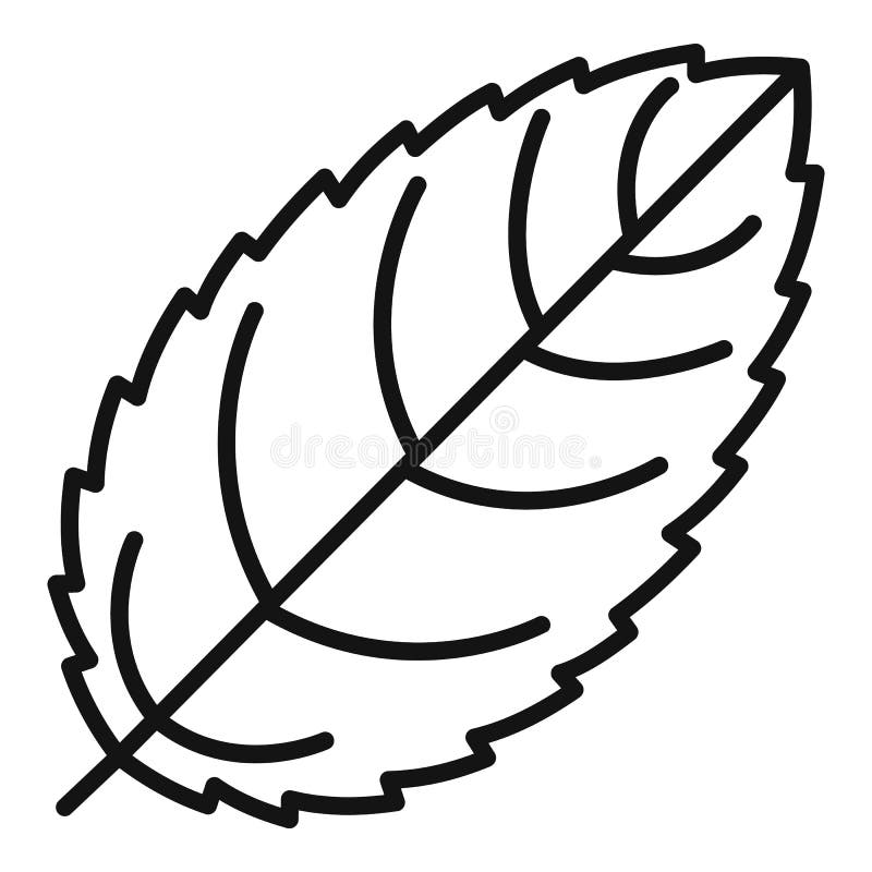 Natural Mint Leaf Icon, Outline Style Stock Vector - Illustration of ...