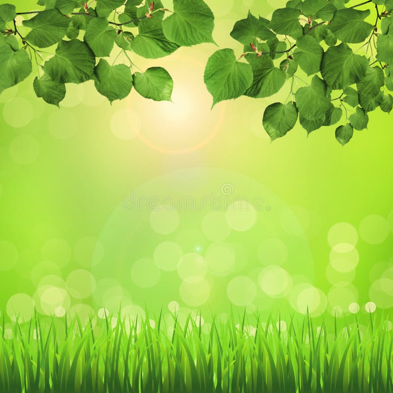 Eco Nature Green Abstract Defocused Background Stock Illustration ...