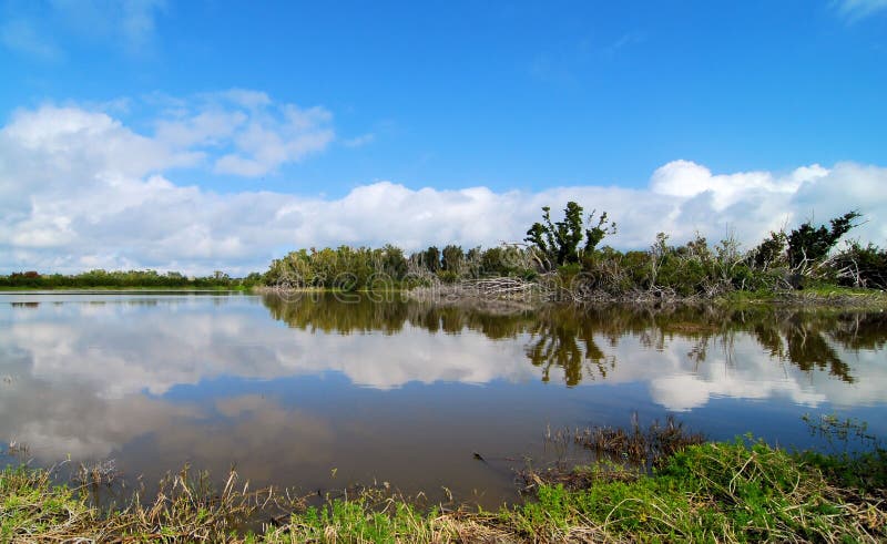 Eco Pond stock photo. Image of rocks, clouds, wetland - 36353240