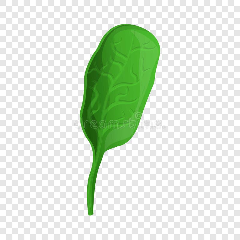 Spinach Icon, Cartoon Style Stock Vector - Illustration of organic ...
