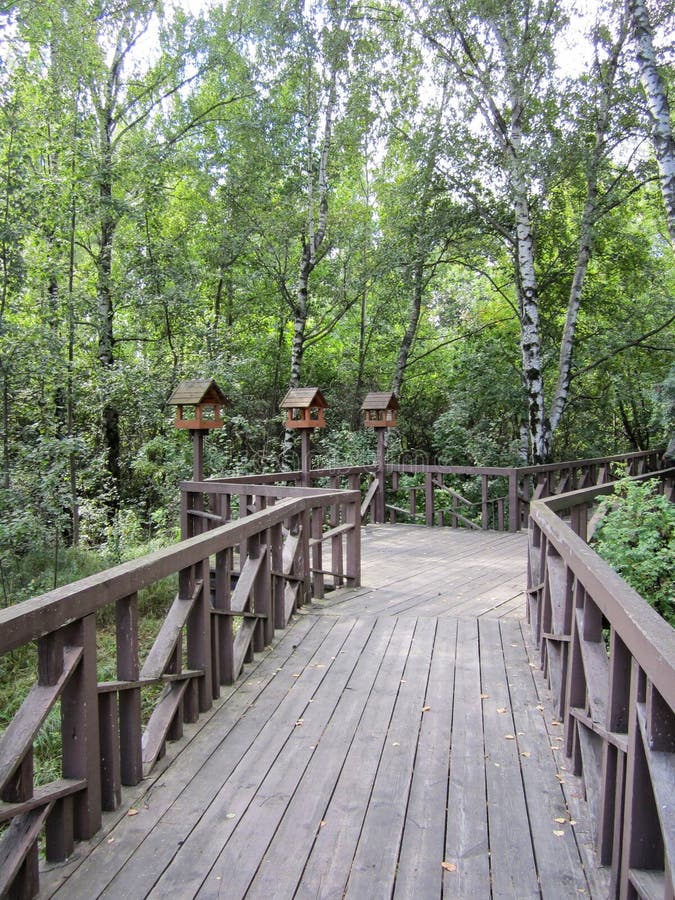 An Eco-trail for Walking between Trees with Birdhouses. Stock Photo ...