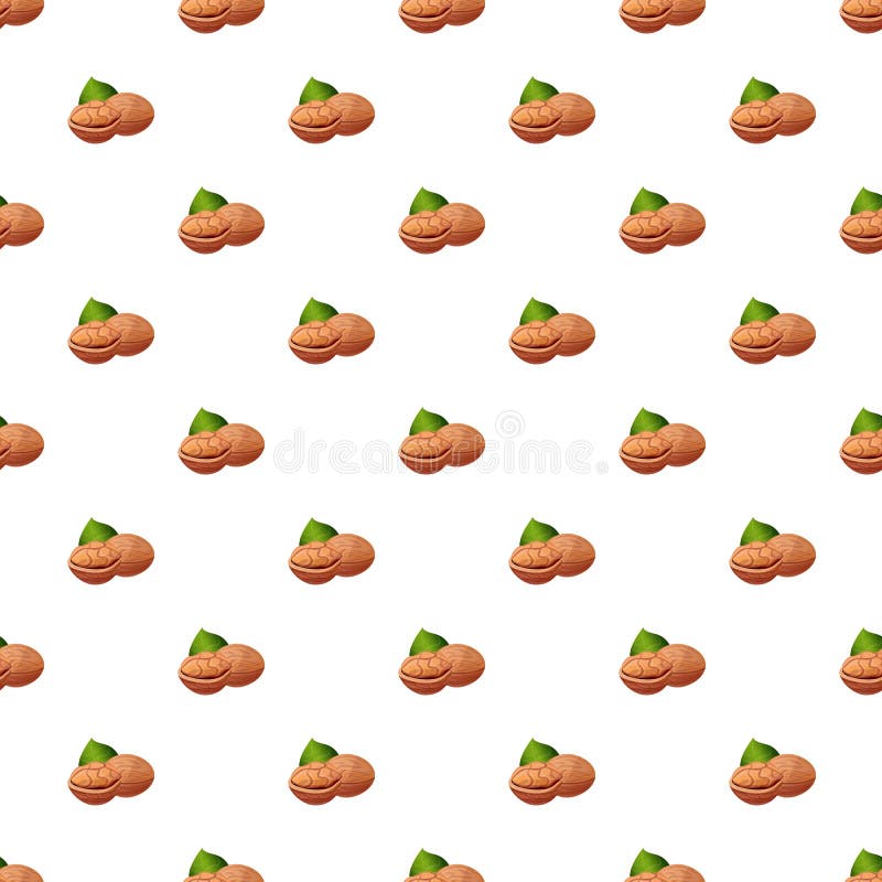 Eco Walnut Pattern Seamless Vector Stock Vector - Illustration of grain ...