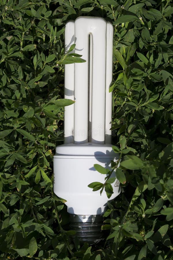 Ecobulb stock image. Image of electricity, idea, watt - 26618947