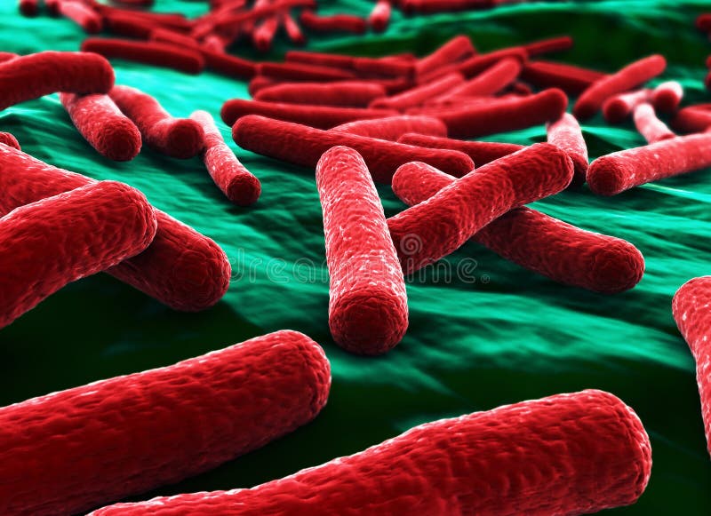 Ecoli Bacteria Close Up Red Stock Illustration - Illustration of ...