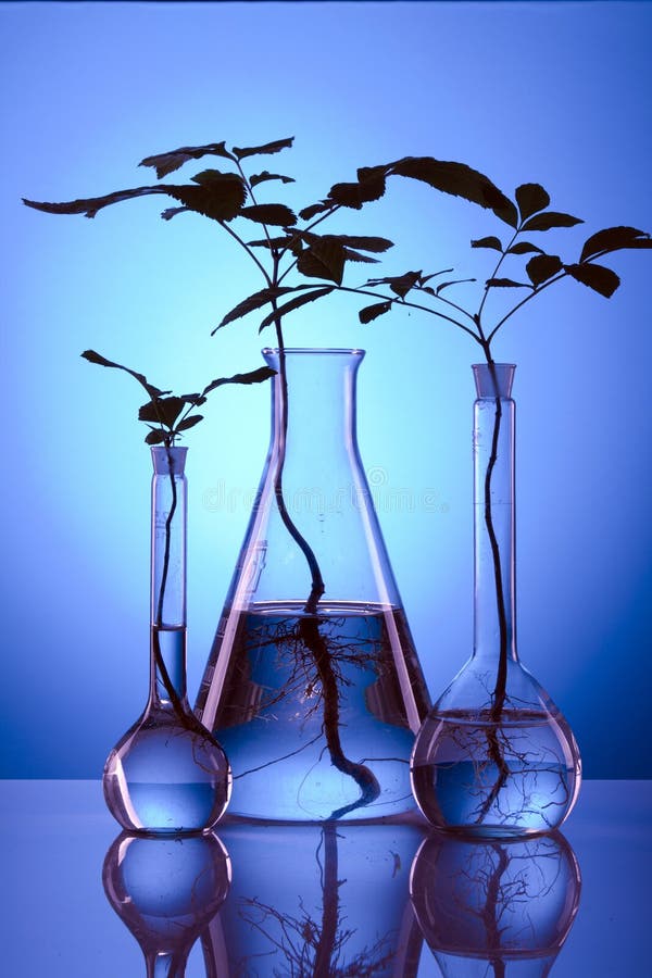 Ecologic laboratory stock photo. Image of concept, consumption - 20675784