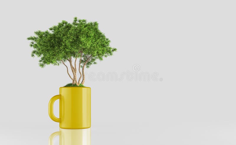 Ecological Concept. an Evergreen Tree on a Green Lawn Growing in a ...