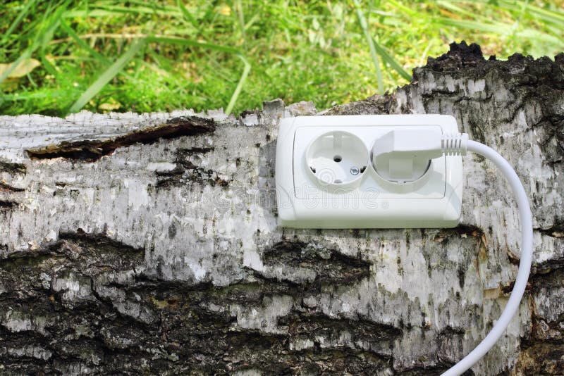 Power Receptacle Switchplug Tree Stock Photos - Free & Royalty-Free ...