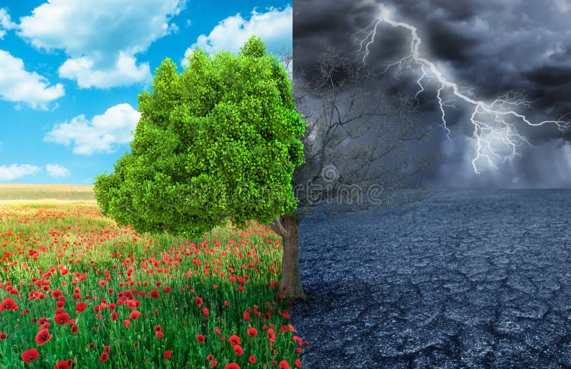 Ecological Concept with Tree and Climate Changing Landscape Stock Photo ...