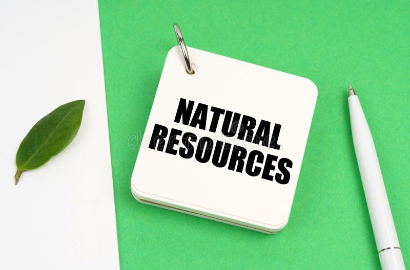 On a White-green Surface, a Piece of Paper, a Pen and a Notepad with ...