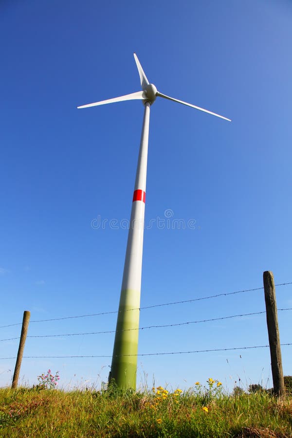 Ecological development stock photo. Image of flora, district - 3383530