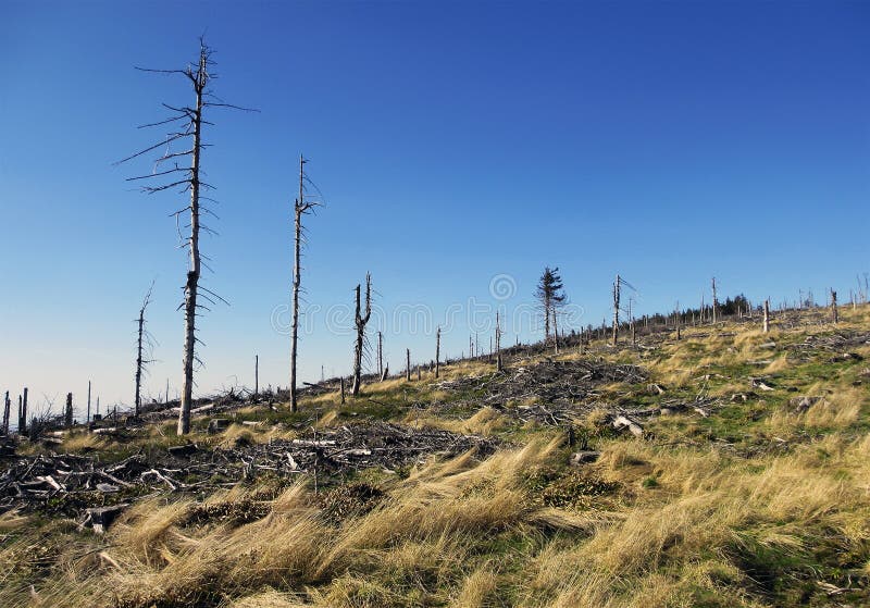 Ecological Disaster stock image. Image of climate, death - 29405685