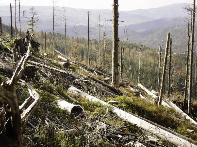 Ecological disaster stock photo. Image of destroyed, concept - 80727690