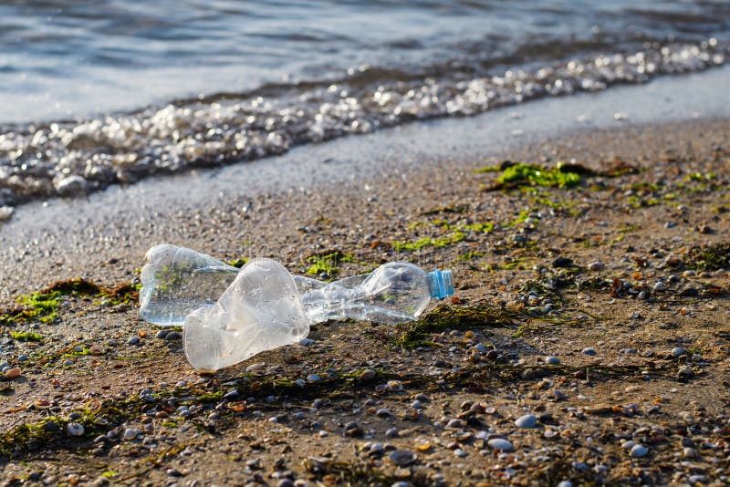 The Ecological Disaster of the Modern World is the Pollution of Seas ...