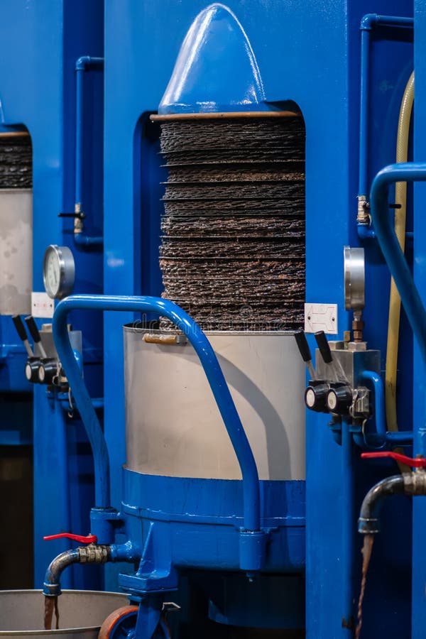 Ecological Extra Virgin Olive Oil Production with Modern Technology ...