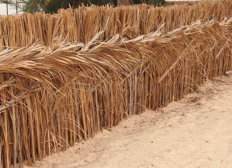 Ecological fence stock image. Image of palm, desert, fence - 88801867