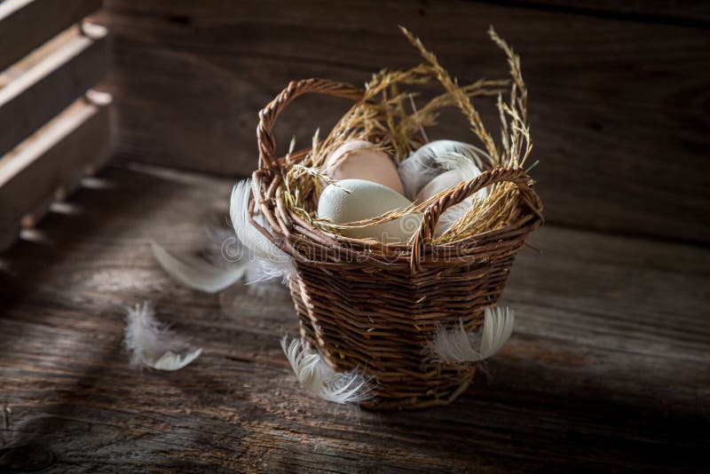 Free Range Eggs from Farm. Eggs from a Free-range Farm Stock Image ...